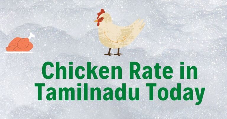 Chicks Rate Today | Poultry Broiler Chicks Price Today – The Global ...