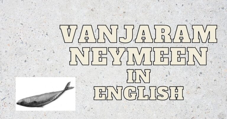 Kilimeen in English | Kilimeen Benefits | Pink Perch Fish Names – The ...