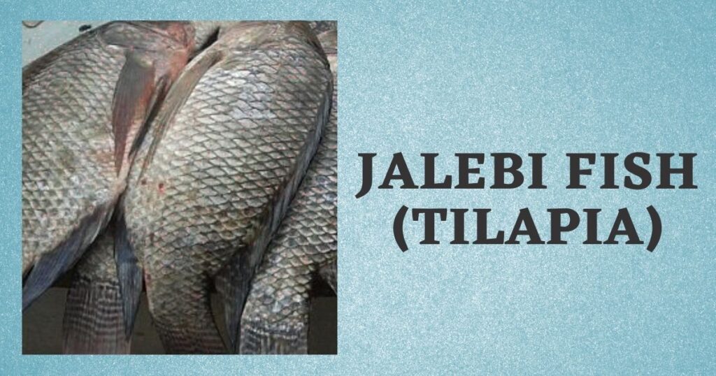 Mathi Fish in English | Mathi Health Benefits | Sardine Fish – The ...