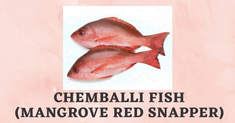 Chemballi Fish in English, Tamil | Chempalli Fish | Benefits – The ...