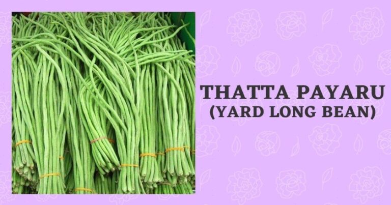 Kurumulaku in English | Milagu Benefits | Black Pepper Names – The ...