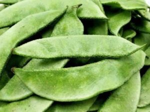 Avarakkai in English | Avarakkai Benefits | Broad Beans Names – The ...