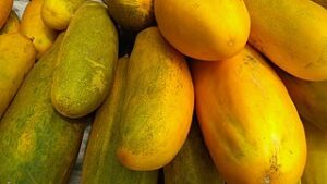 Dosakaya in English | Dosakaya Health Benefits – The Global Statistics