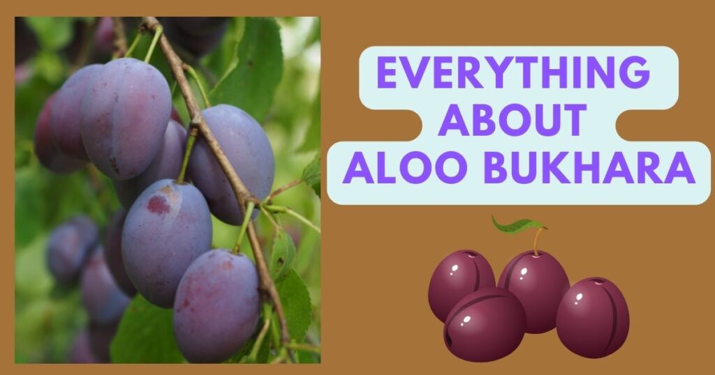 Uluva English | Benefits | Fenugreek Seeds | Vendhayam | Methi – The ...