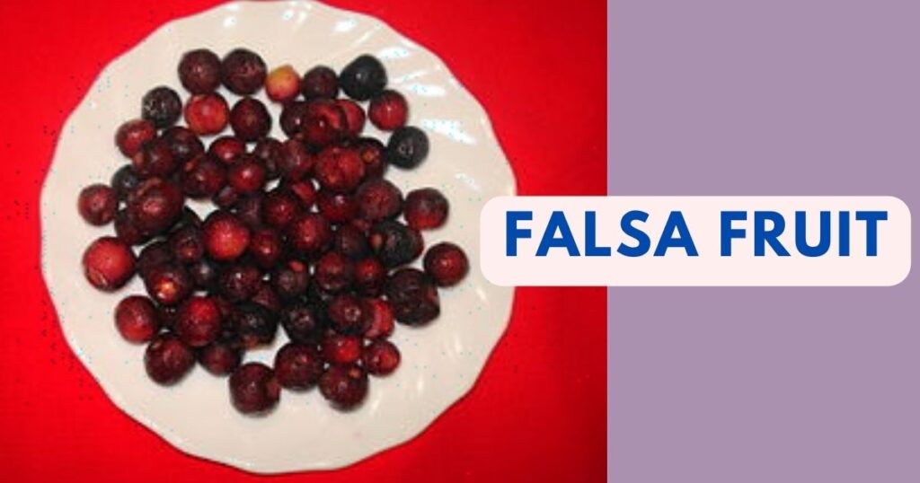 Falsa in English | Falsa Fruit Juice Benefits | Phalsa – The Global ...