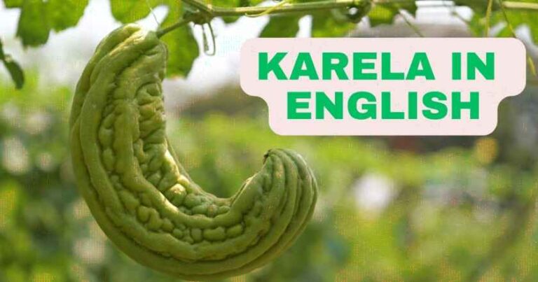 Maravalli Kilangu in English | Maravalli Kizhangu Benefits | Kuchi ...