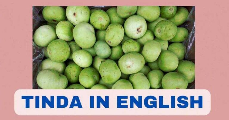 Uluva English | Benefits | Fenugreek Seeds | Vendhayam | Methi – The ...