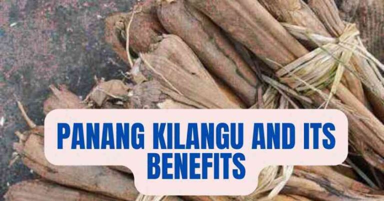 Kurumulaku in English | Milagu Benefits | Black Pepper Names – The ...