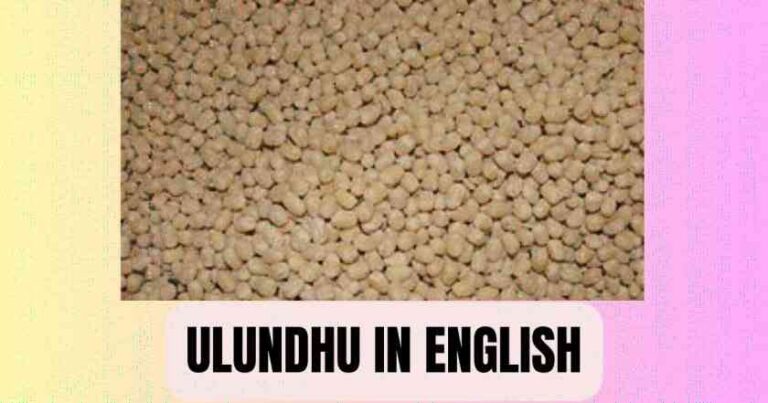 Chembu in English | Chembu Benefits | Madhura Chembu – The Global ...