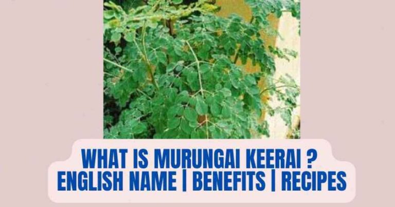 Kurumulaku in English | Milagu Benefits | Black Pepper Names – The ...