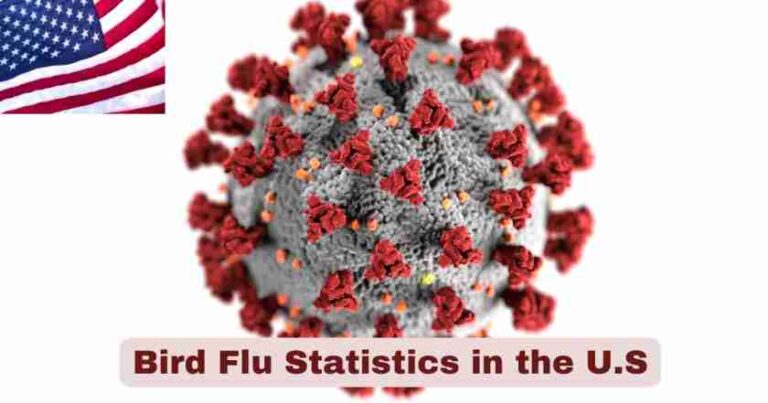 Bird Flu Statistics in the U.S. 2025 | Avian Flu Facts – The Global ...