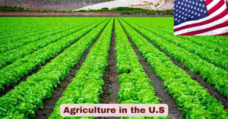 Agriculture in the U.S 2025 | Agriculture Stats & Facts – The Global ...