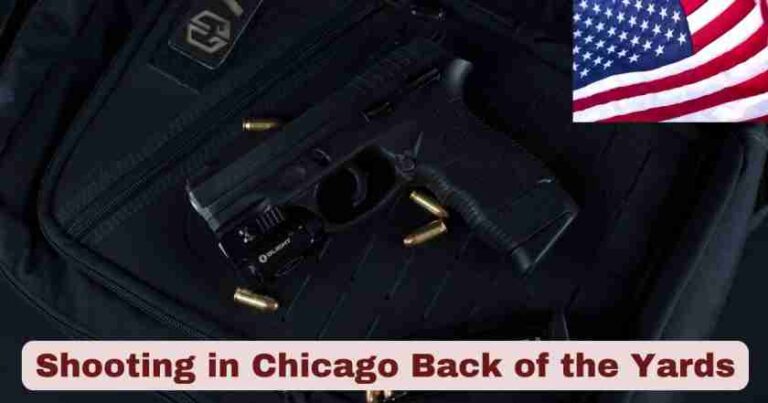 Shooting in Chicago Back of the Yards 2025 | Latest Statistics & Facts ...