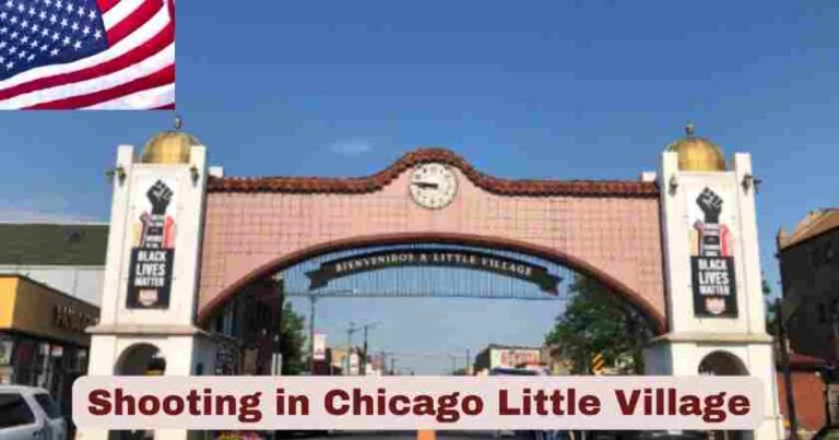Shooting in Chicago Little Village 2025 | Statistics & Facts – The ...