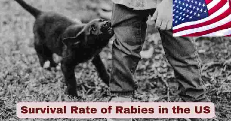 Survival Rate of Rabies in the US 2025 | Statistics & Facts – The ...