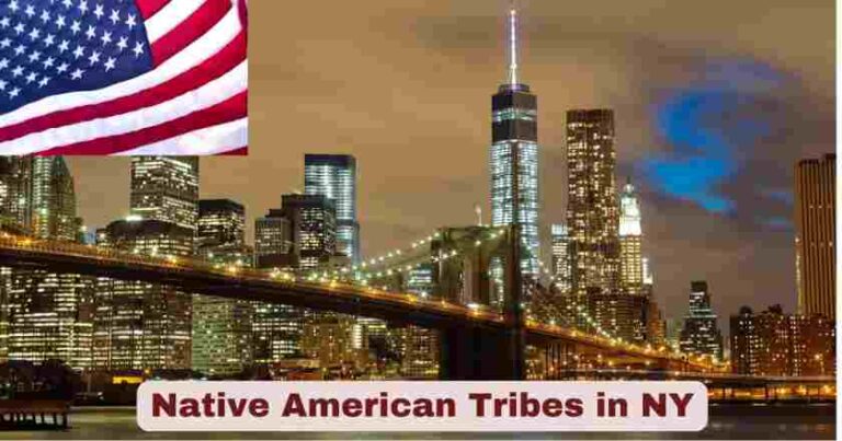 Native American Tribes in NY 2025 | Statistics & Facts – The Global ...