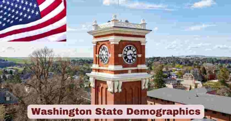 Chicago Homeless Population 2025 | Stats & Facts about Chicago ...