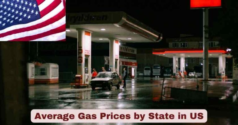 Average Gas Prices by State in US 2025 | Statistics & Facts – The ...