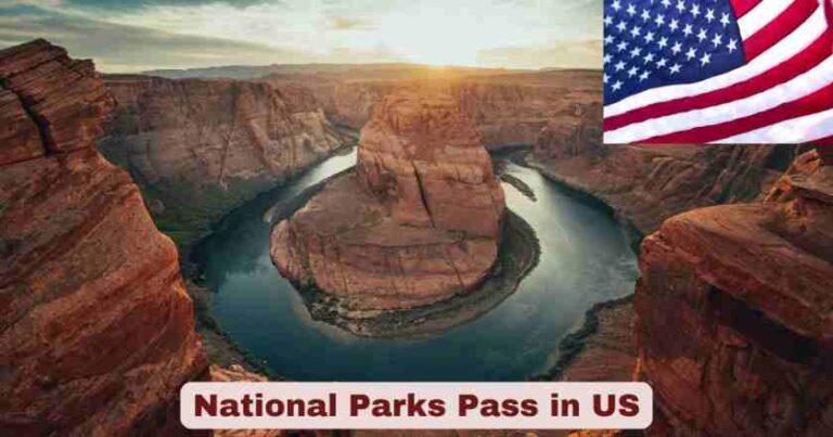 National Parks Pass in US 2025 | Statistics & Facts – The Global Statistics