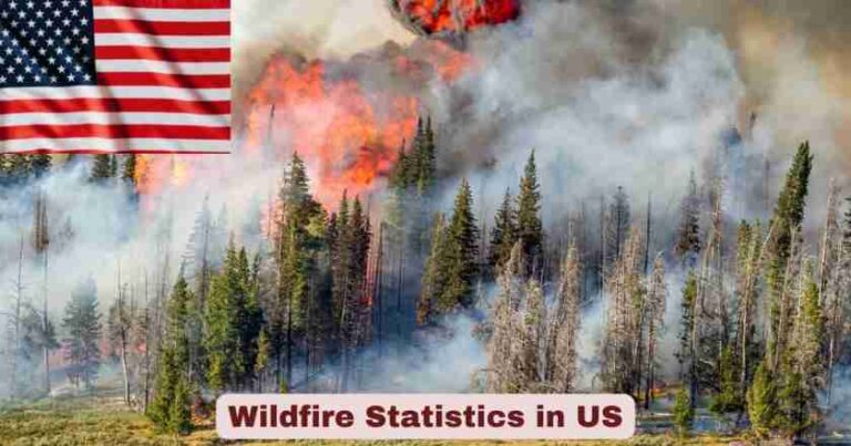 Wildfire Statistics in US 2026 | Acres Burned, Costs & Key Stats – The ...