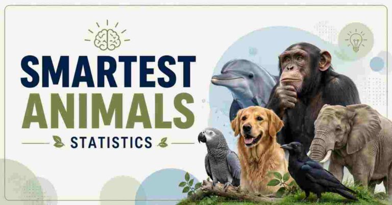 Smartest Animals Statistics 2026 | Intelligence Rankings & Key Facts ...
